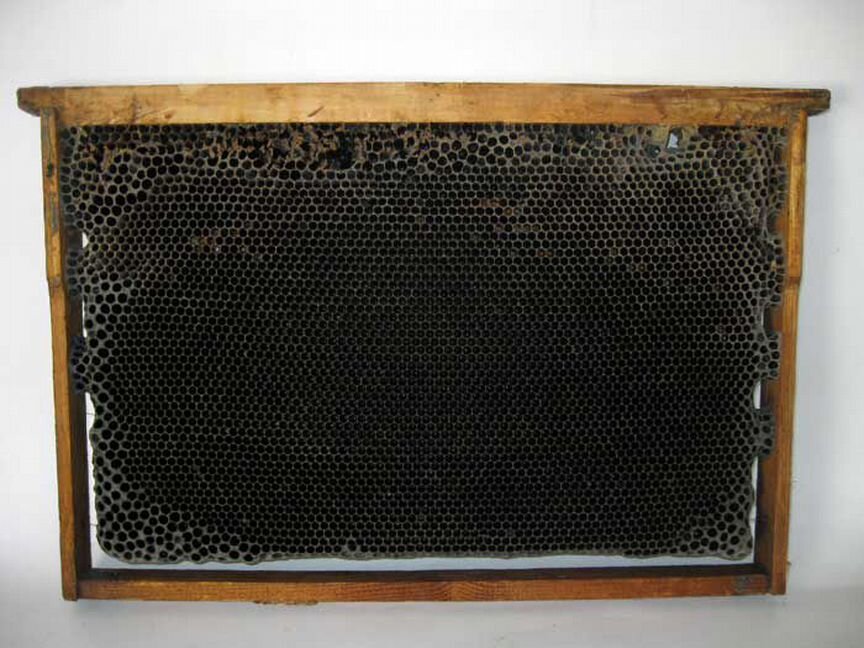 Вощина Сушь Мерва