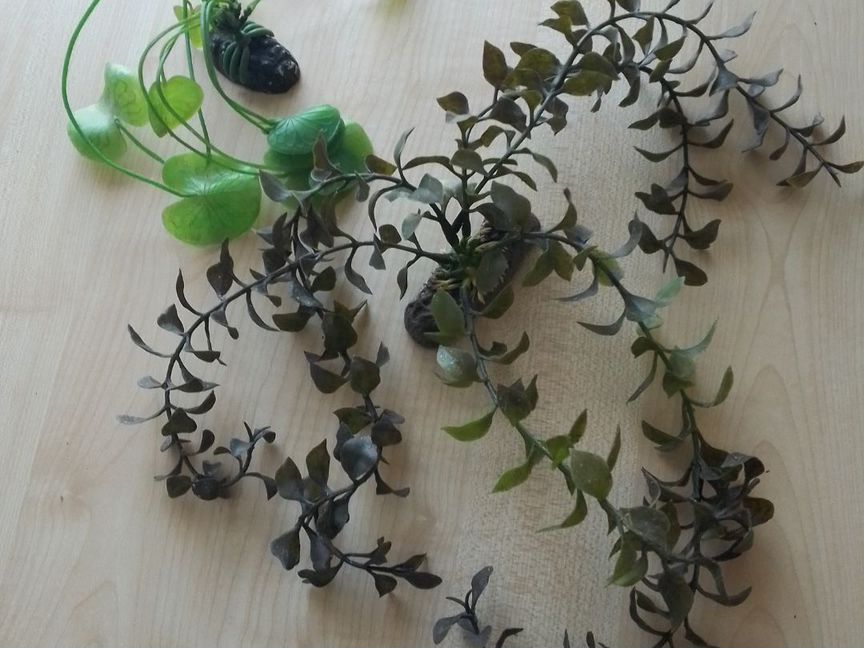 Аквариумные растения искусственные