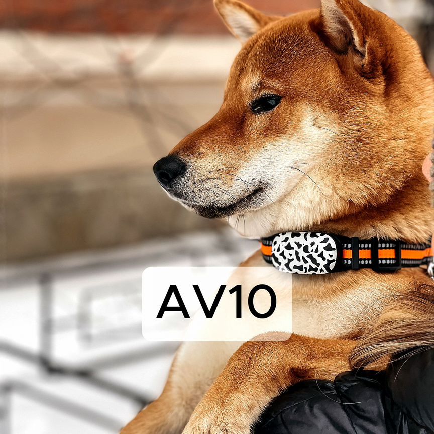 Gps трекер для кошек