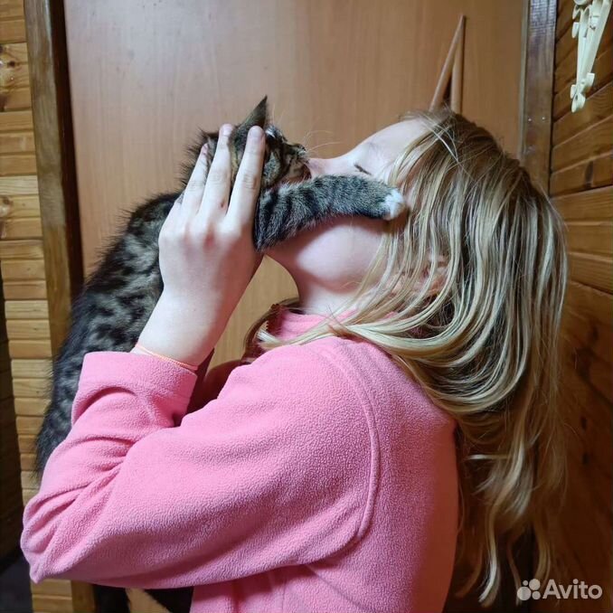 Ласкуша мурчалка в дар 2мес