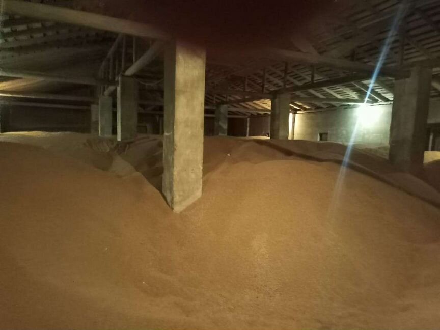 Зерно (Пшеница, ячмень) Калуга