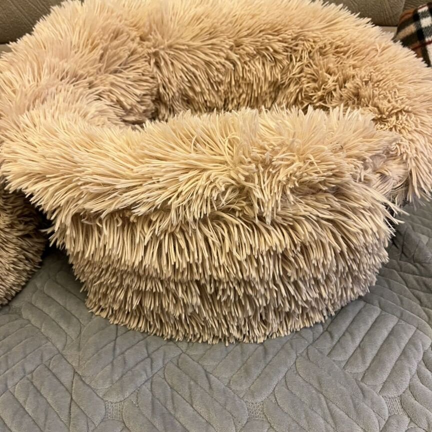 Собачья лежанка