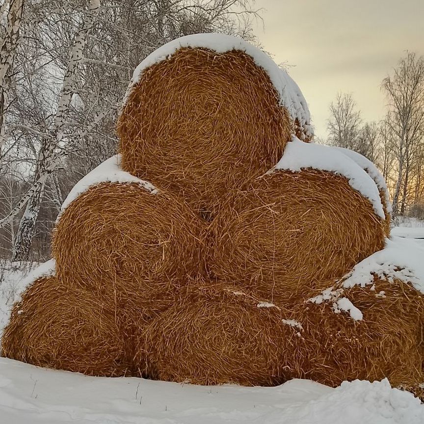Продам сено солому