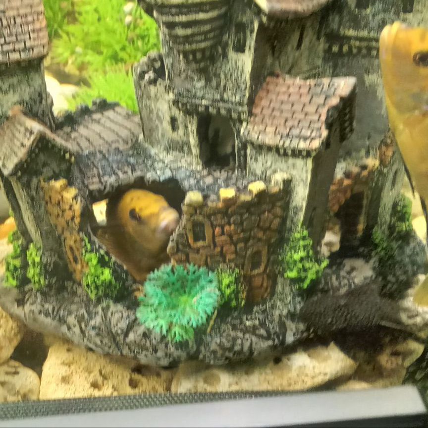 Украшение для аквариума