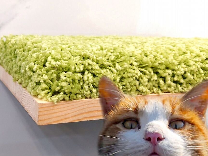 Когтеточка для кошки игровой комплекс ступеньки