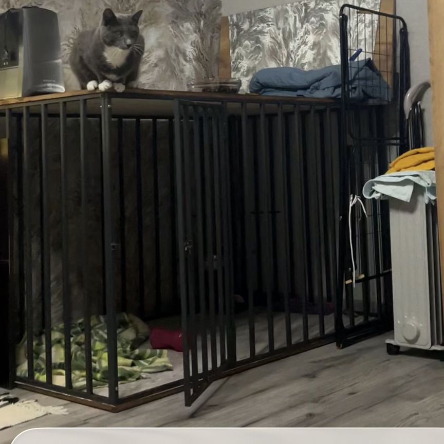 Клетка для большой собаки бу