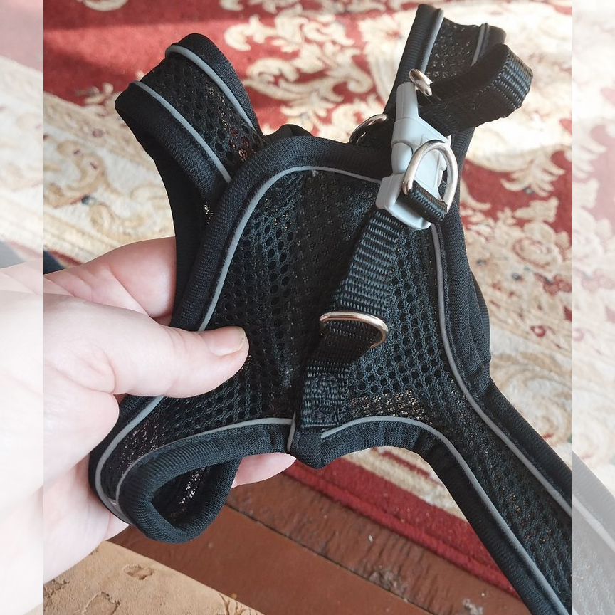 Шлейка для собаки