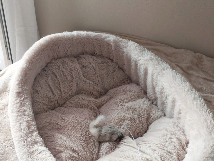 Лежанка для кошек и собак