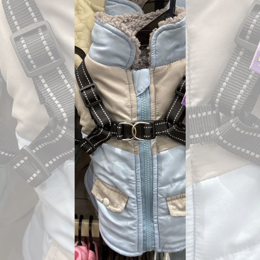 Жилетка для собак мелких пород