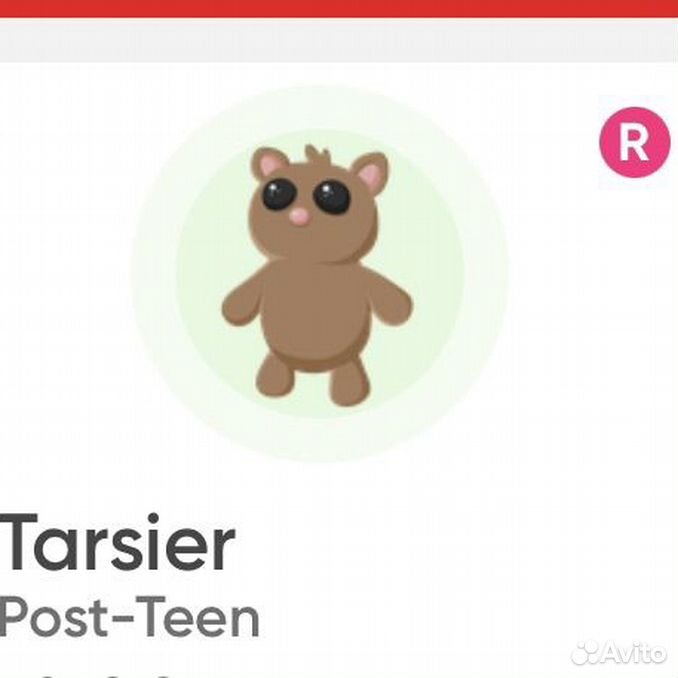 Петы в адопт ми