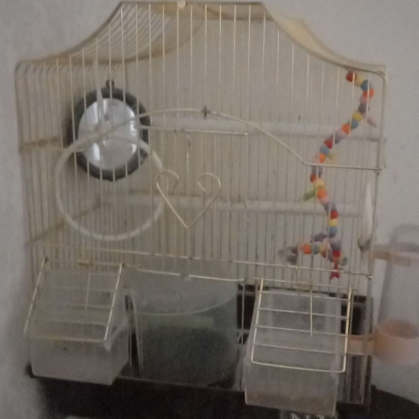 Клетка для попугая. Аммадин