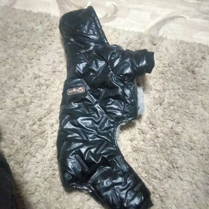 Одежда для собак