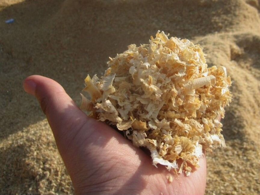 Стружка для птицы