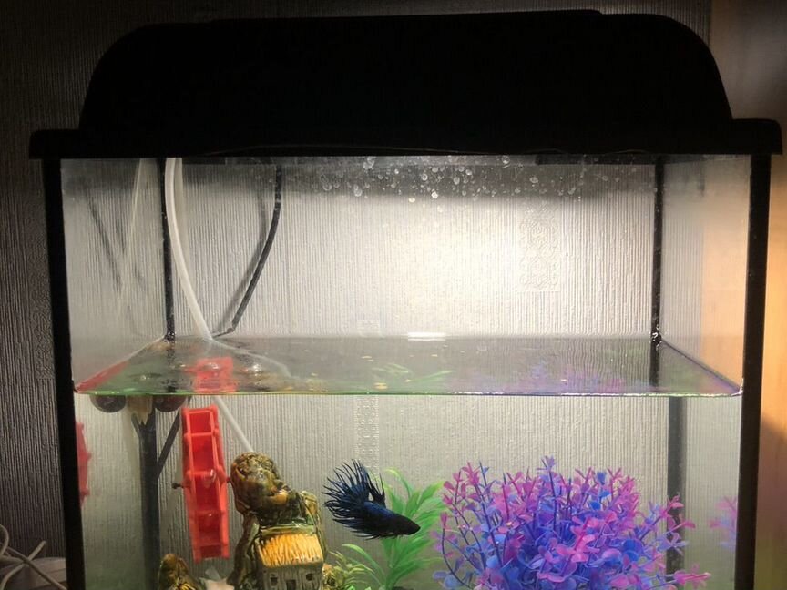 Аквариум 25 литров