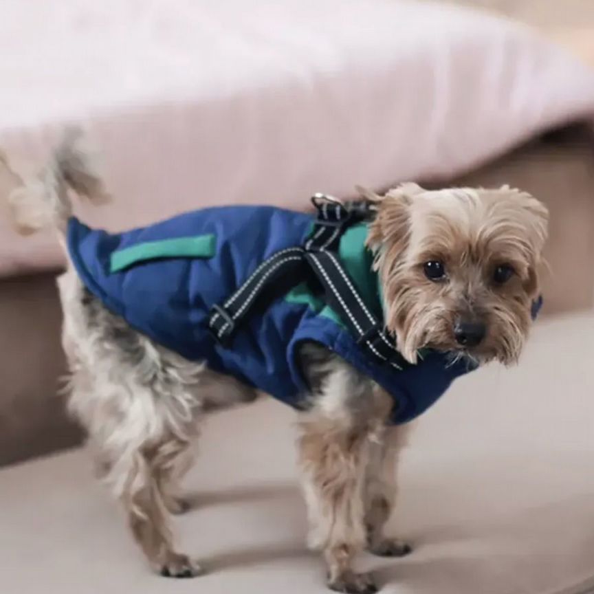 Куртка для собак жилетка
