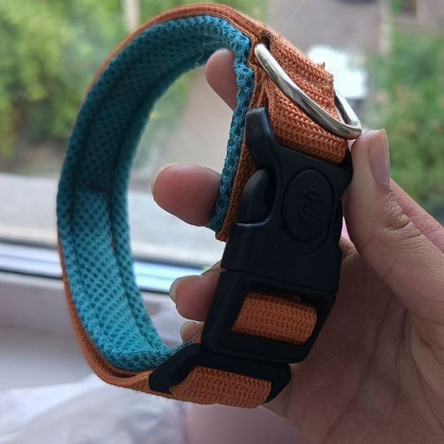 Вещи для собак