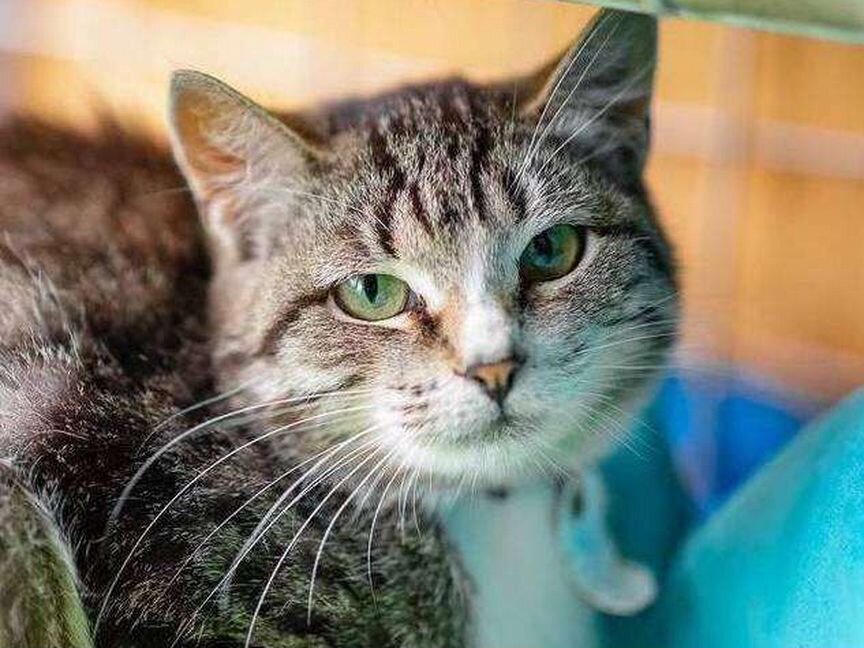 Яся ищет семью