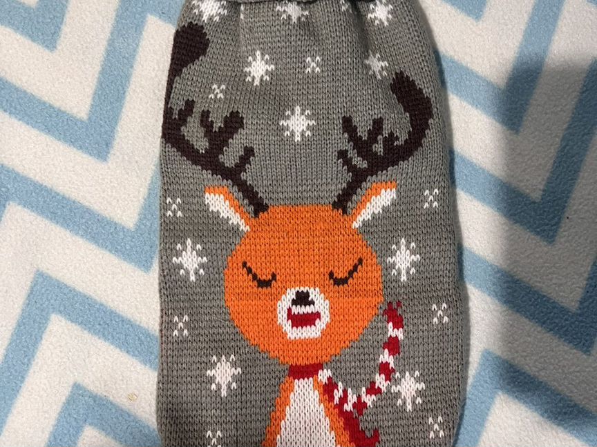 Одежда для собак