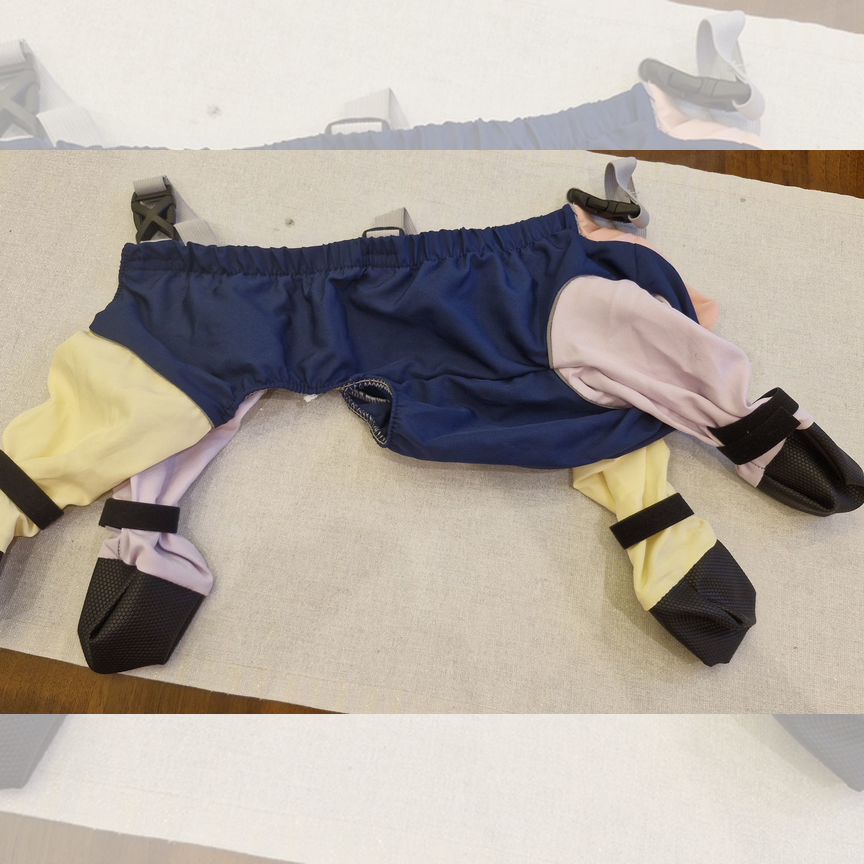 Комбинезон для прогулок с сапожками для собаки