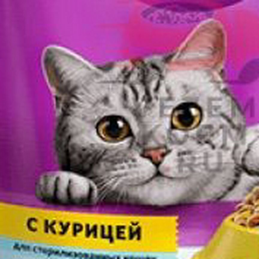 Влажный корм для кошек