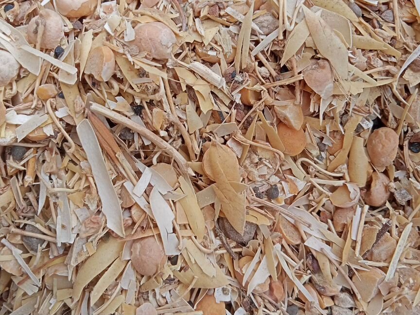 Отходы нута