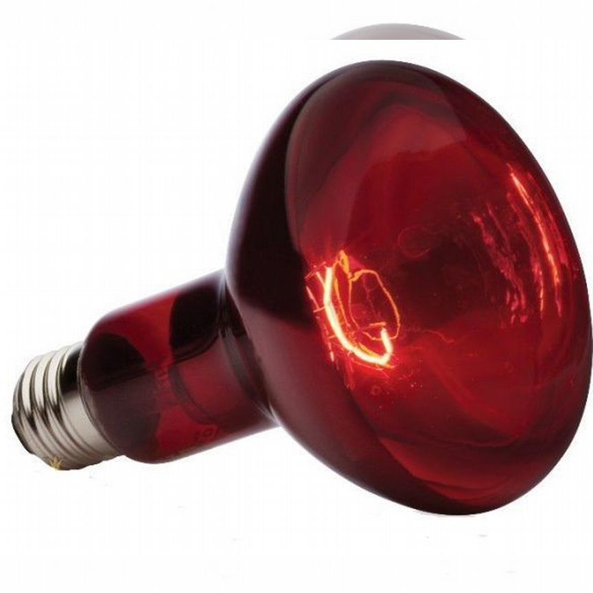 Лампа для животных