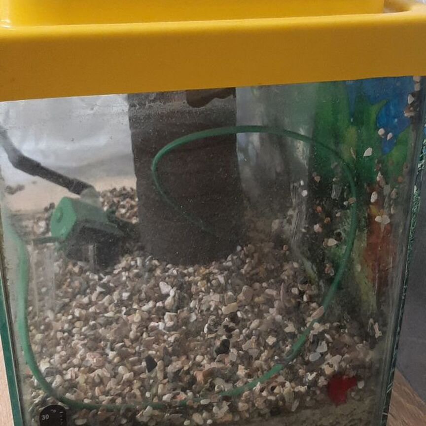 Аквариум с встроенным фильтром