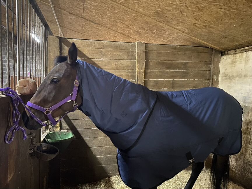 Попона зимняя для лошади