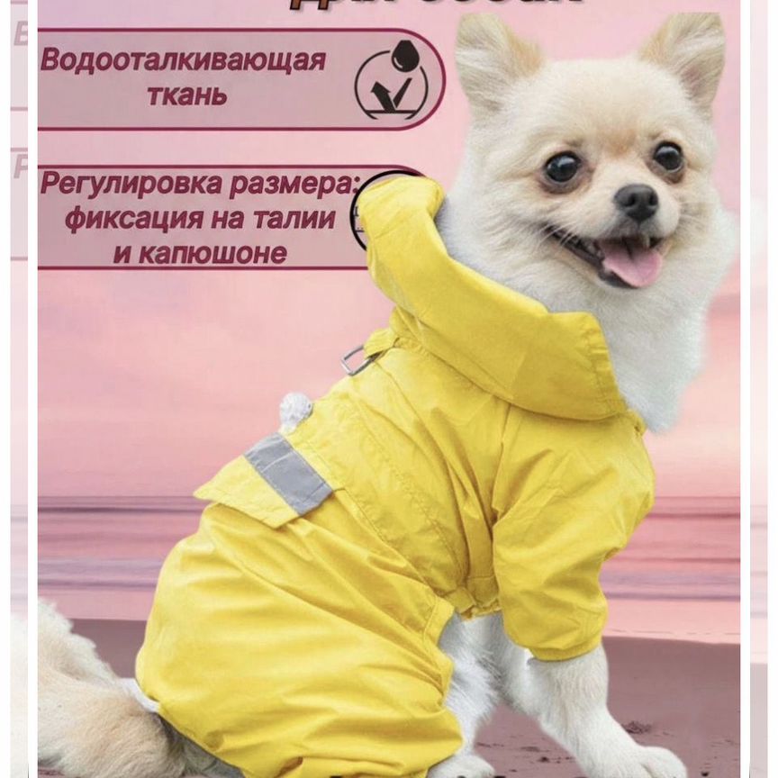 Одежда для маленьких собак