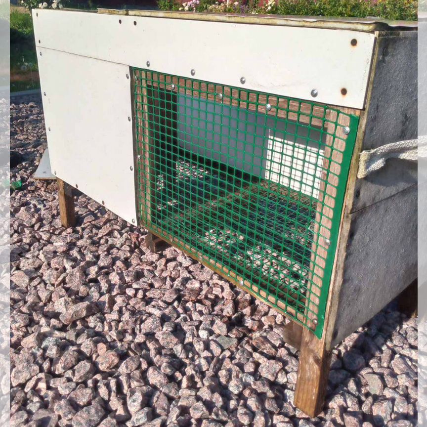 Брудер для цыплят