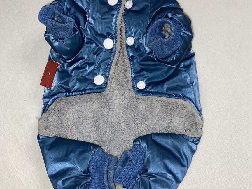 Комбинезон и шлейка для маленькой собаки