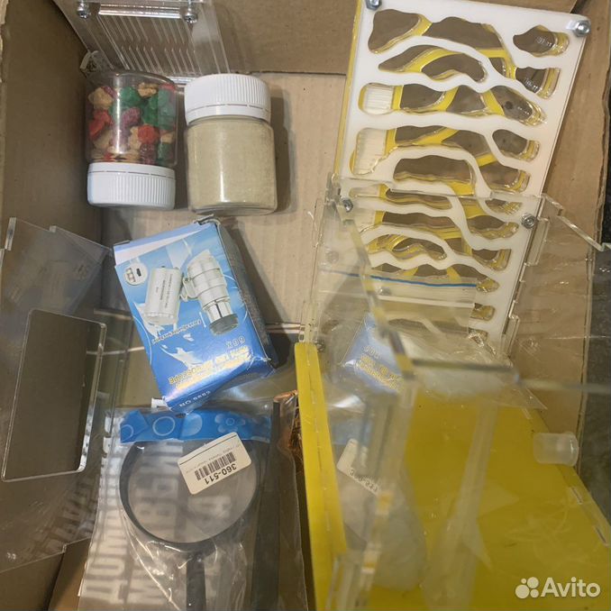 Муравьиная ферма без муравьев