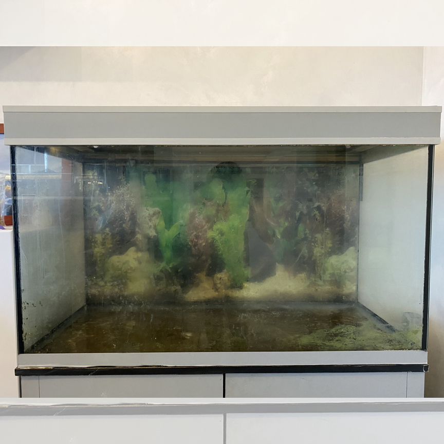 Аквариум 250 литров