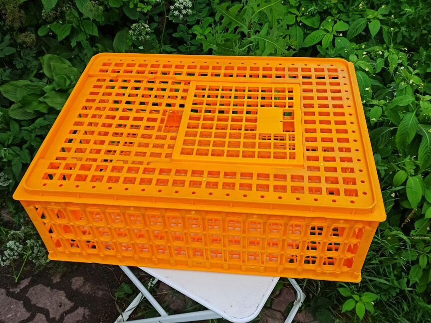 Ящик импорт. профессиональный. Любая птица