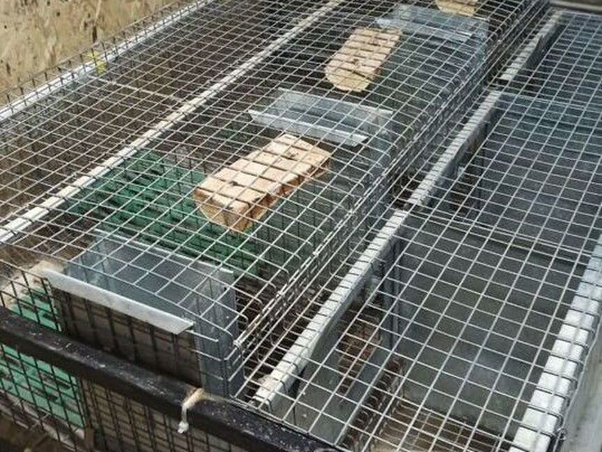 Клетка для кролика