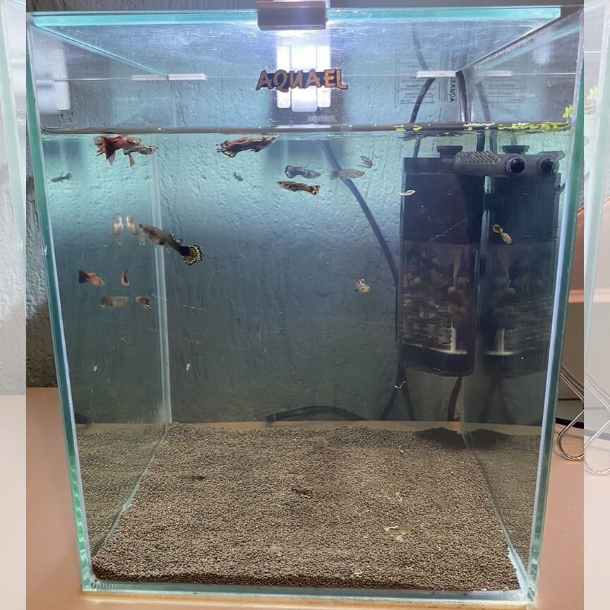 Аквариум с рыбками
