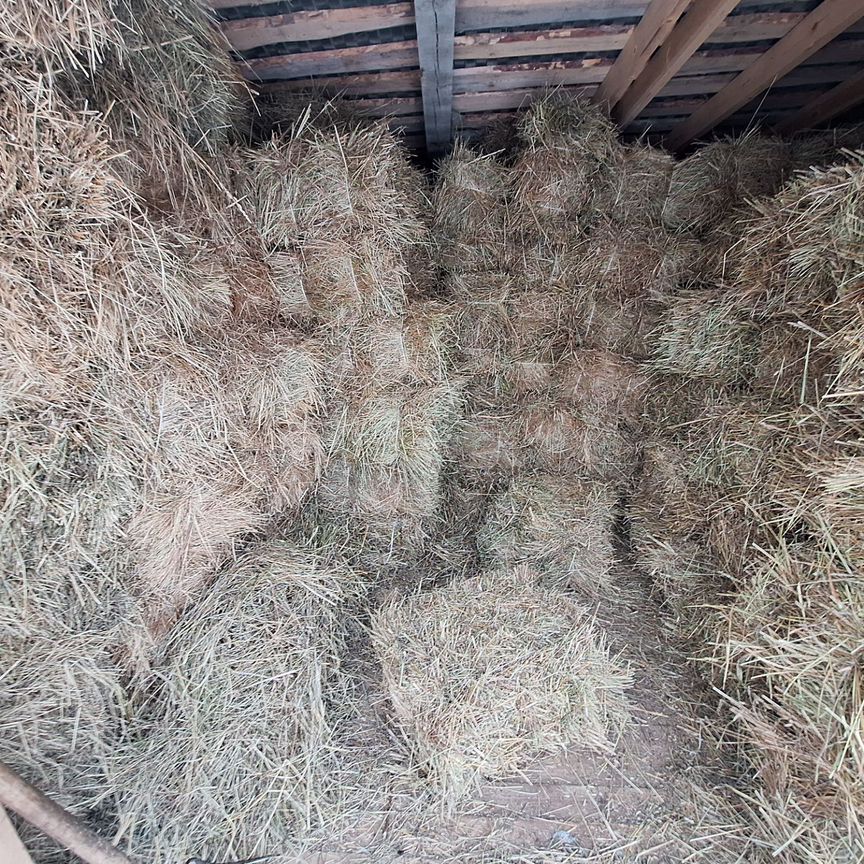 Сено в тюках