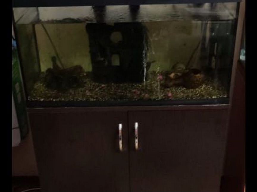 Аквариум с тумбой