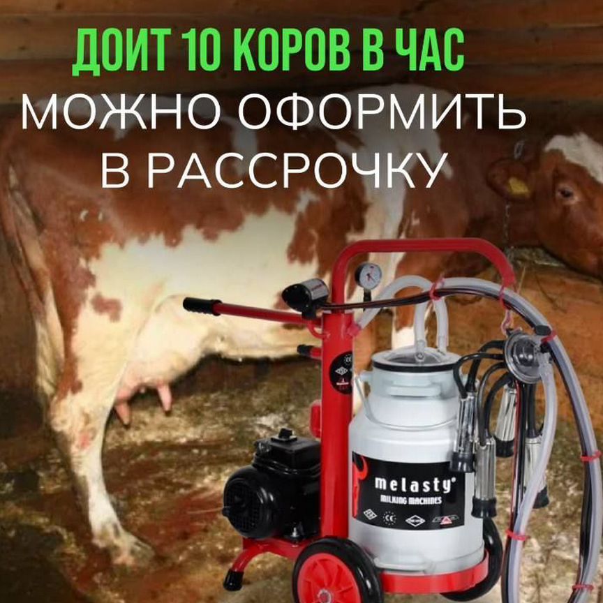 Доильный аппарат, лидер на рынке