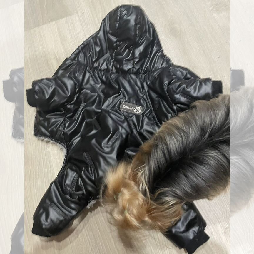 Зимняя одежда для собак