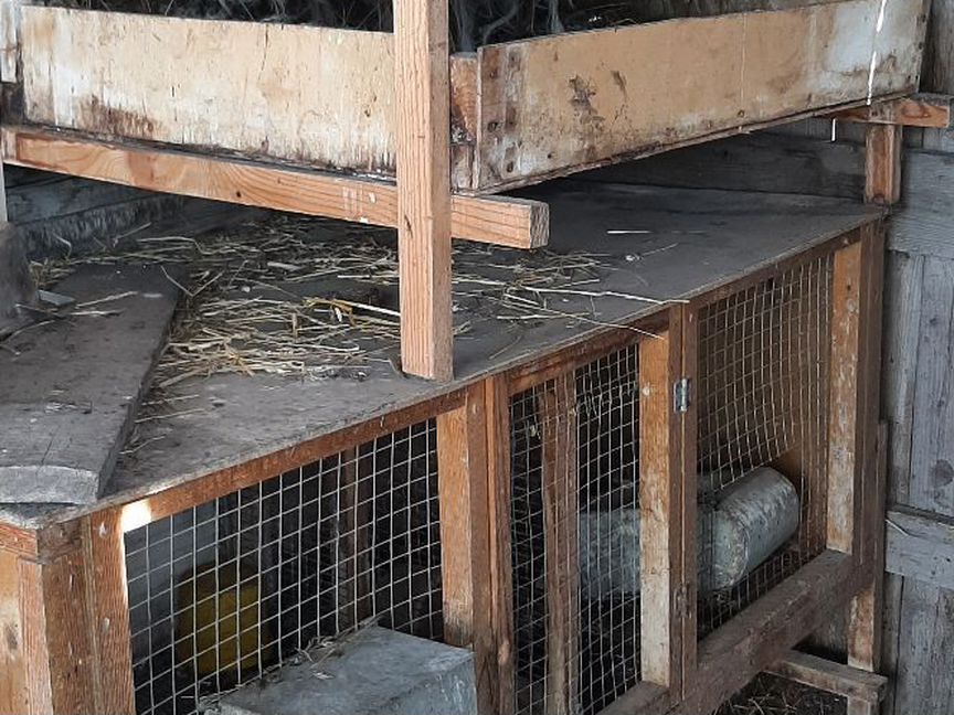 Клетка для кролика