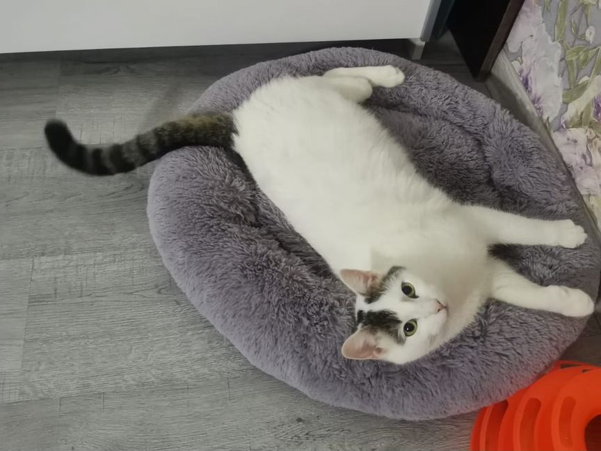 Малышка Катя