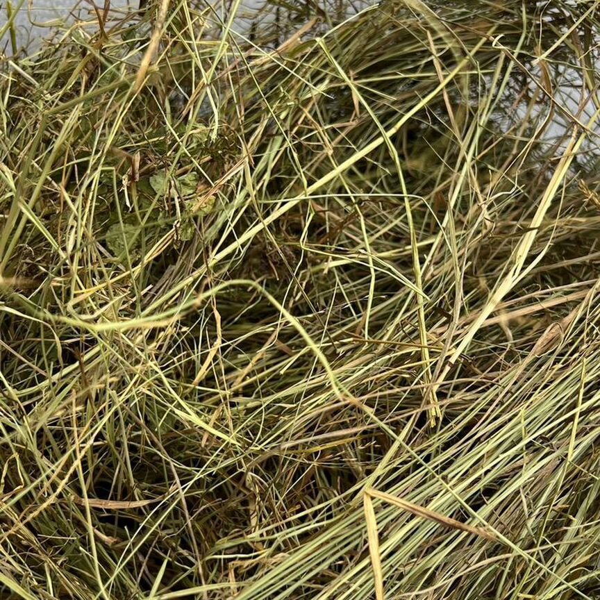 Вкусное сено в мешках