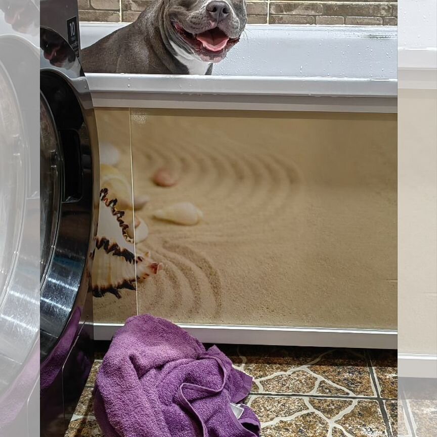 Американский булли