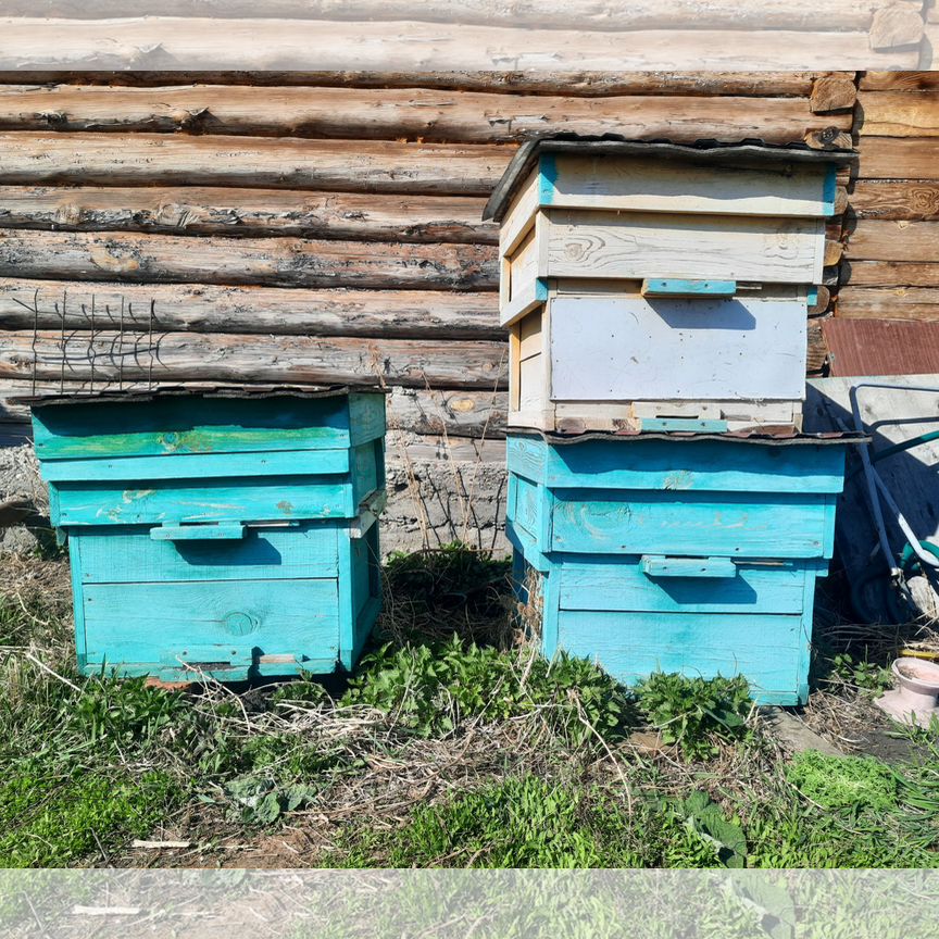 Ульи для пчел