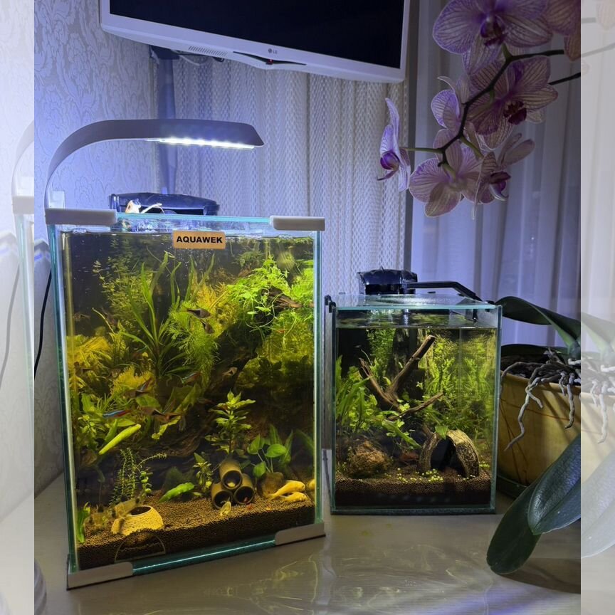 Аквариум aquael 30 и 10 литров под ключ