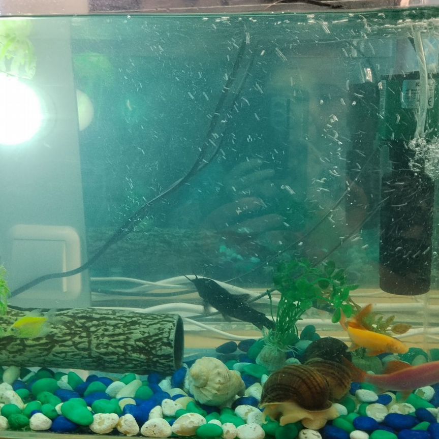 Аквариум с рыбками