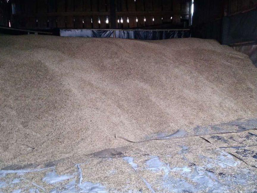 Кормосмесь(овес,горох)