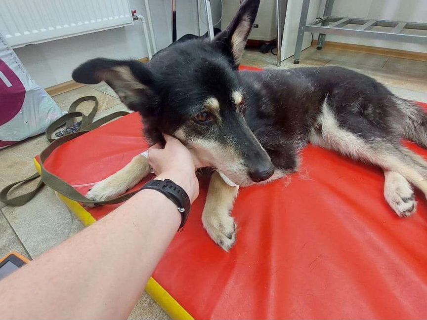 Джоник совершенно один