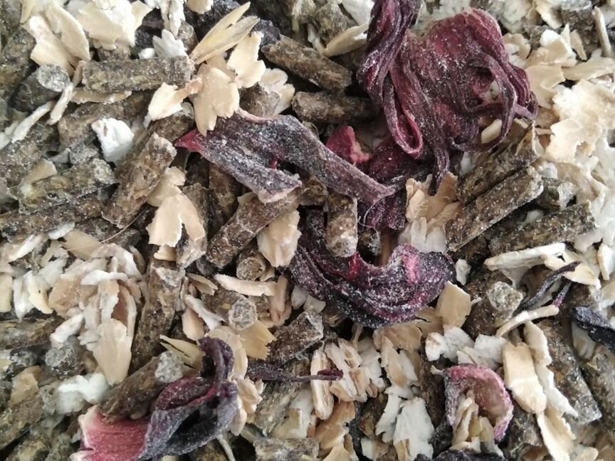 Корм для шиншилл